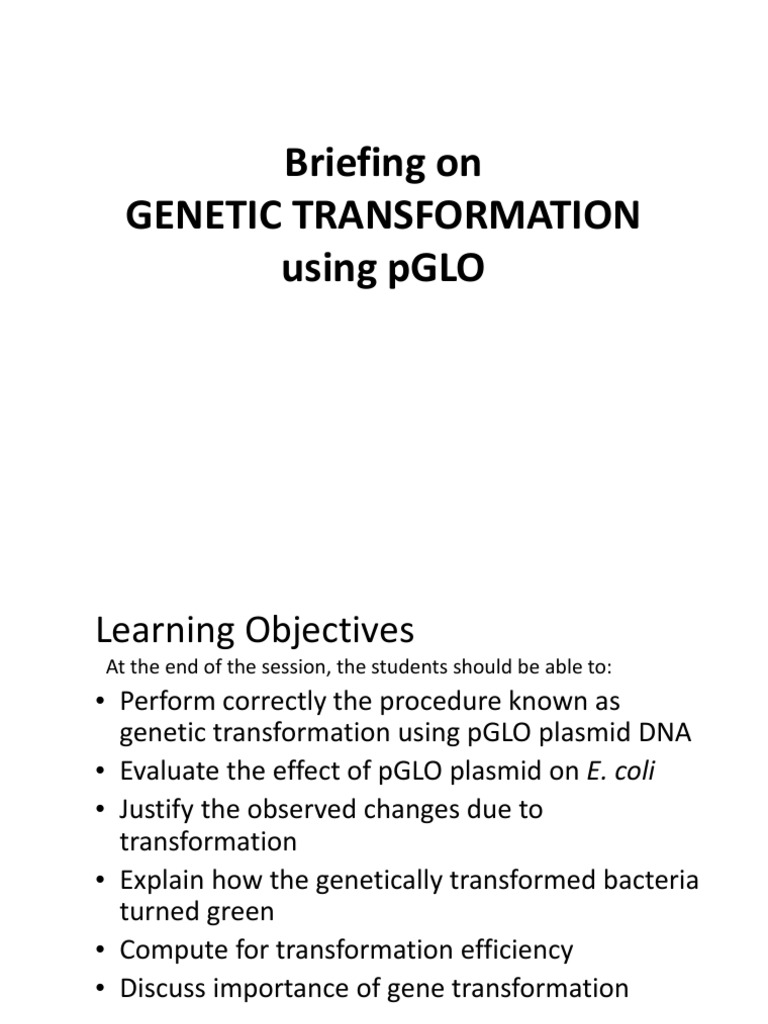 Genetic Transformation of E. coli Using the pGLO Plasmid: A Laboratory ...