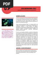 Diapositiva E.coli | PDF | Escherichia coli | Microbiología