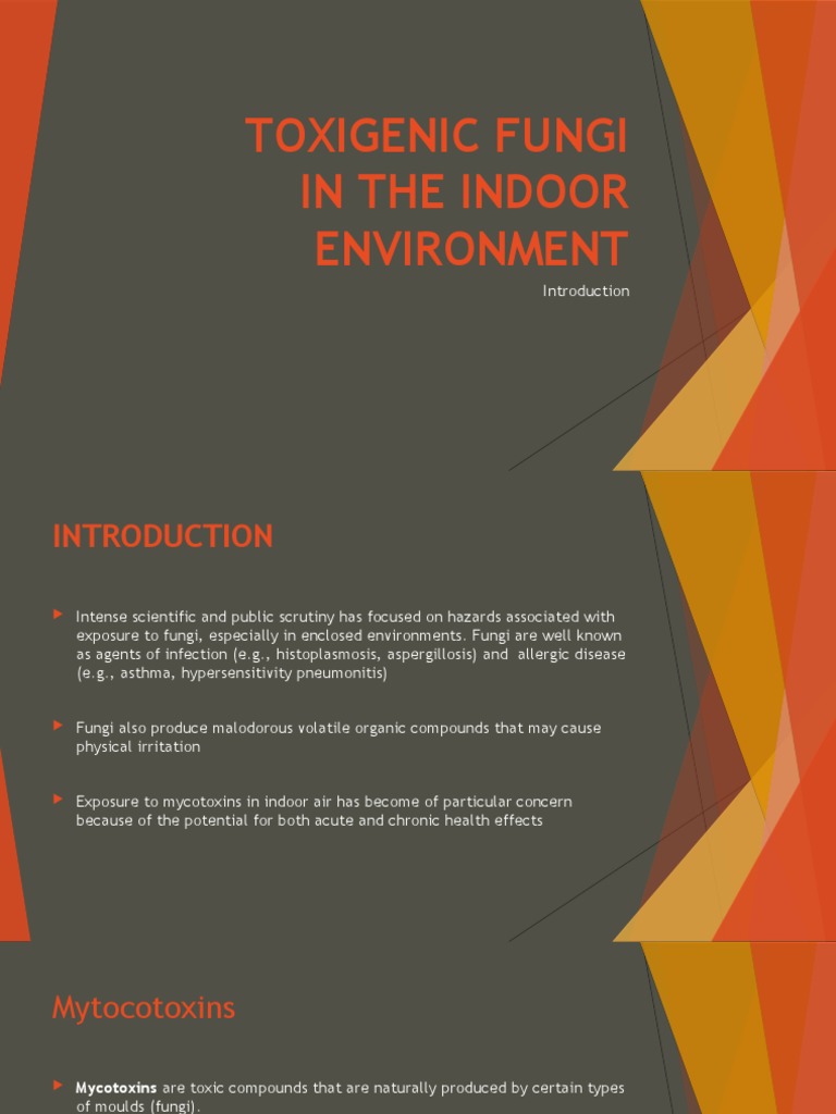 Toxigenic Fungi in The Indoor Environment | PDF | Mycotoxin | Fungus