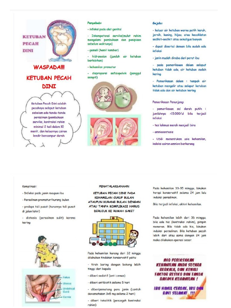 Leaflet KPD | PDF
