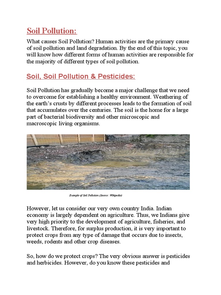 Soil, Soil Pollution & Pesticides | PDF | Water Pollution | Pesticide