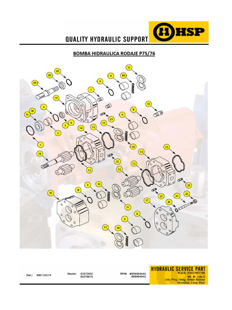 P - 75-76 HSP | PDF