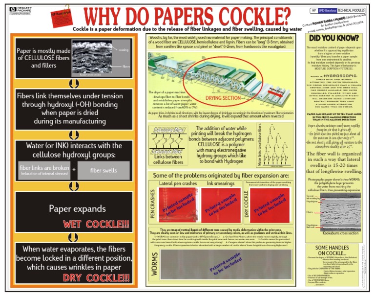 Cockle Explanation Presentation | PDF | Paper | Chemistry