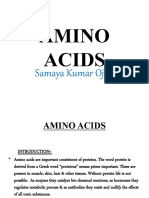 Amino Acids Classification Chart | PDF