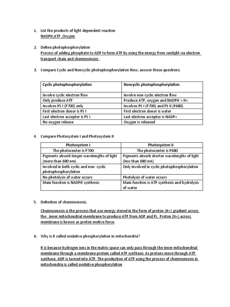 Plants Physiology Pdf