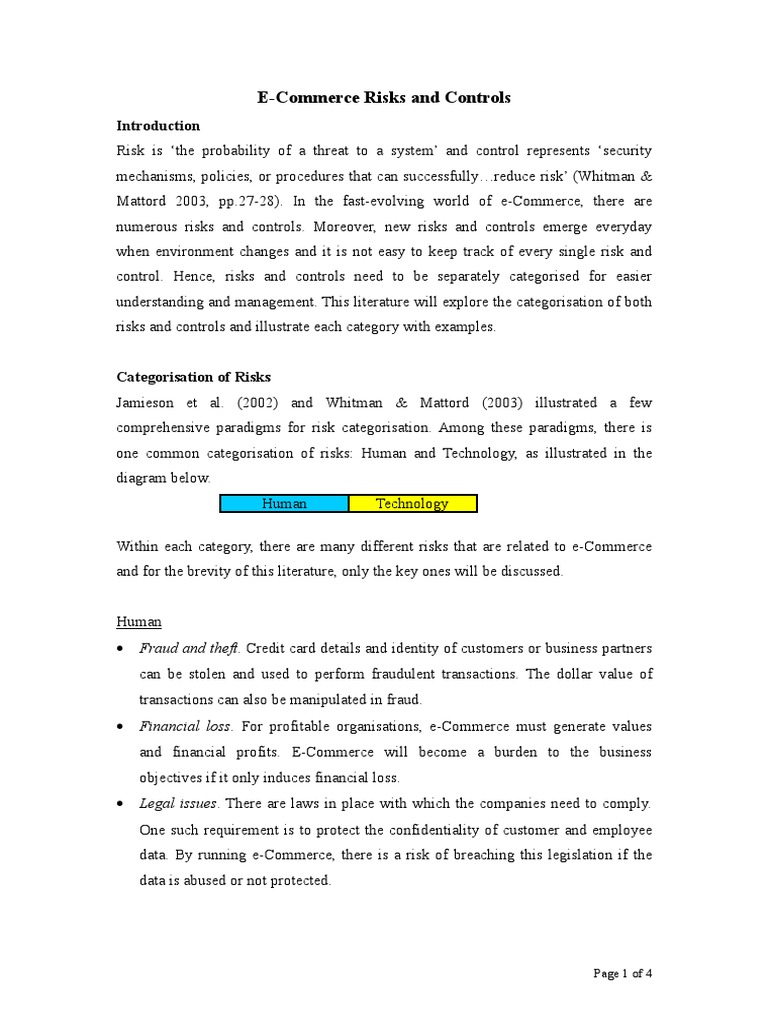 E-Commerce Risk Management Strategies | PDF | Risk | E Commerce