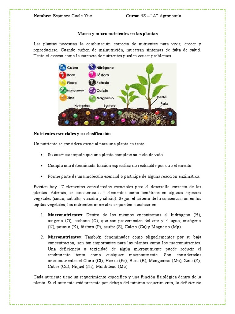 Nutrientes Esenciales en Plantas: Guía Completa | PDF | Nutrientes ...