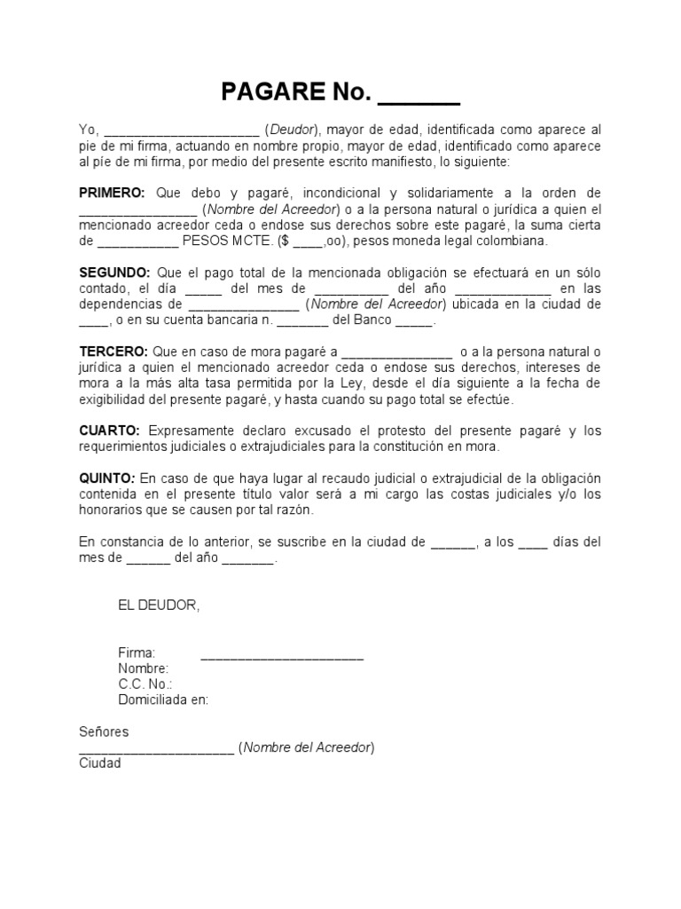 Pagaré en Blanco y Carta de Instrucciones | PDF | Pagos | Gobierno