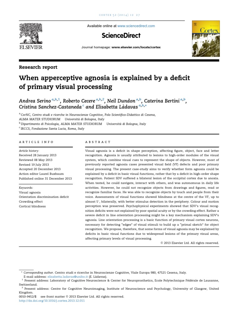When Apperceptive Agnosia Is Explained by A Deficit of Primary Visual ...