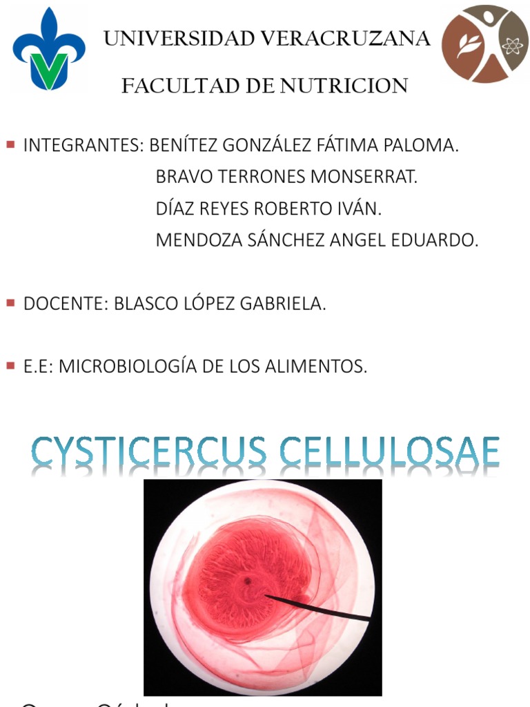 Cysticercus Cellulosae E. T PDF | PDF | Medicina Veterinaria ...