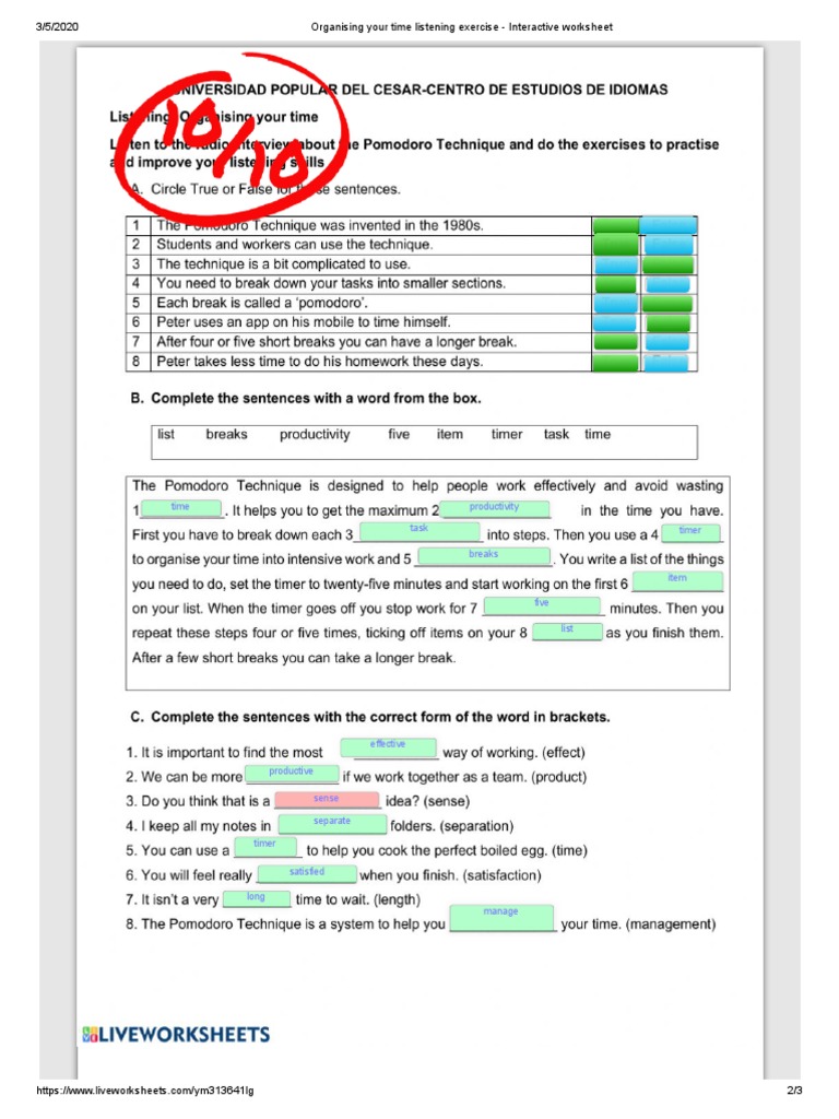 Organising Your Time Listening Exercise - Interactive Worksheet PDF | PDF