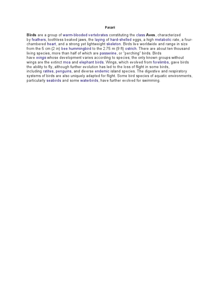 Bird Project | PDF