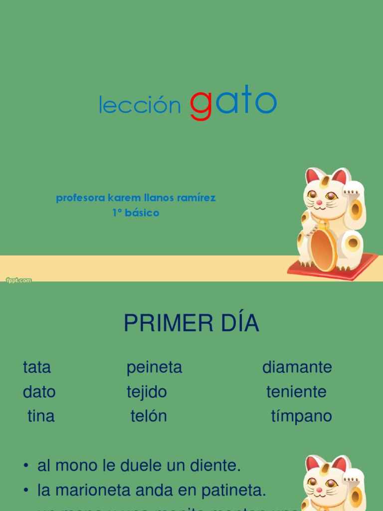 Leccion Gato | PDF