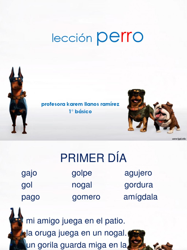 Leccion Perro | PDF