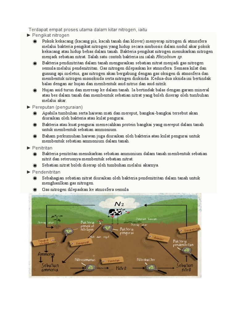 Kitar Nitrogen | PDF