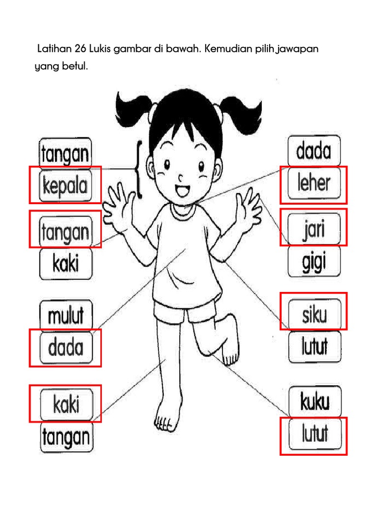 Kenal Nama Bahagian Badan | PDF