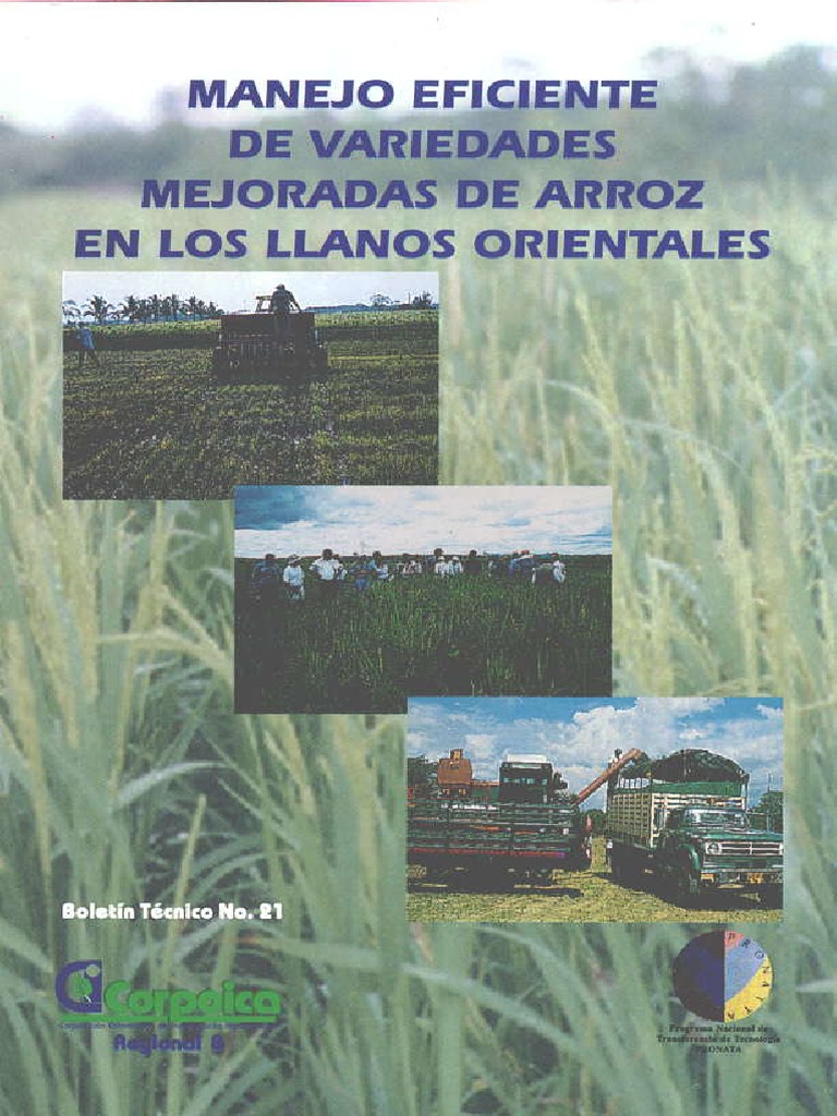 Manejo Eficiente de Variedades de Arroz PDF | PDF