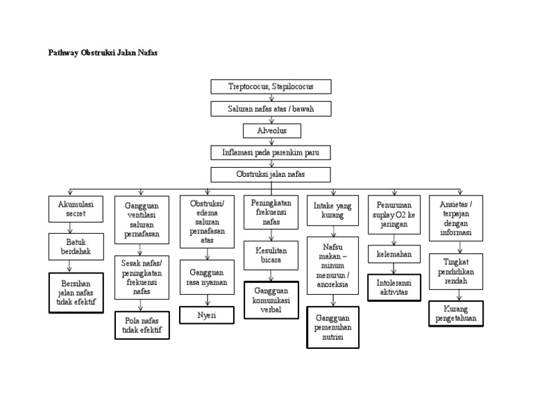 Pathway Obstruksi Jalan Nafas | PDF