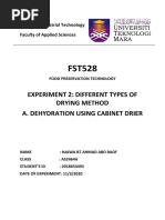 PINK Fayefilms Study Template PDF | PDF | Cognition