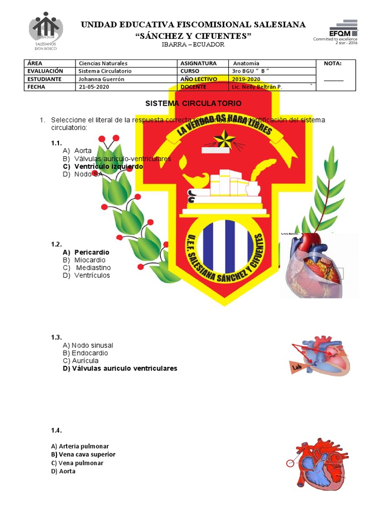 Cuestionario Sistema Circulatorio | PDF | Sistema circulatorio | Sangre