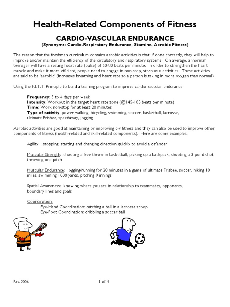 Health-Related Fitness Components | PDF | Flexibility (Anatomy ...