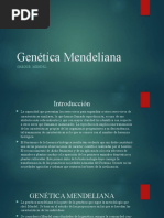 Introducción A La Genética Mendeliana | PDF | Dominancia (Genética ...