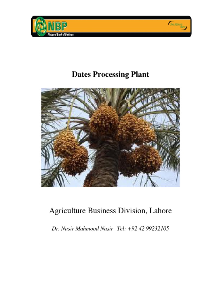 Dates Processing Plant: Agriculture Business Division, Lahore | PDF ...