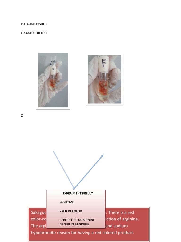Data and Results F. Sakaguchi Test: Experiment Result - Positive - Red ...