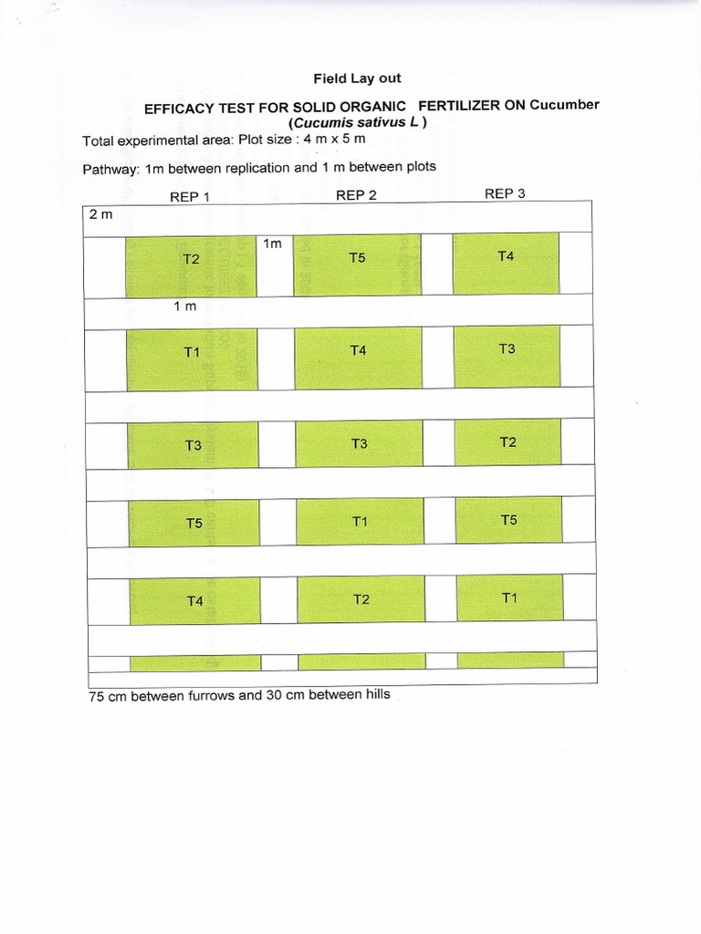 Fieid Lay out: (Cucu肋;s sa請vus L) | PDF