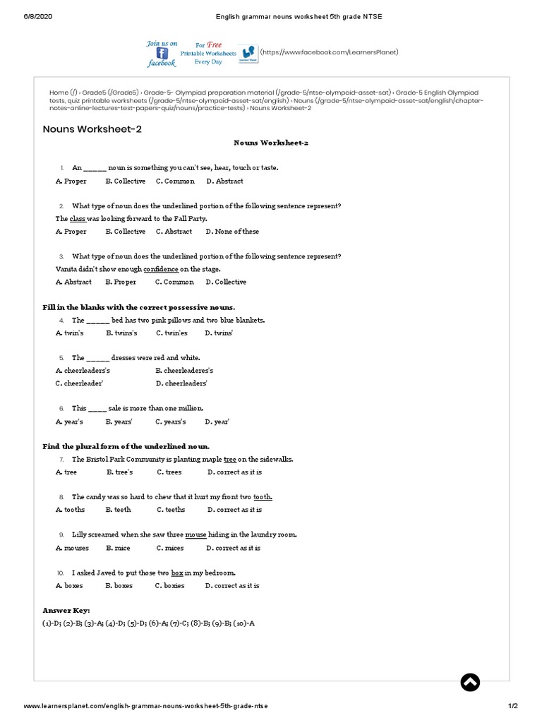 English Grammar Nouns Worksheet 5th Grade NTSE | PDF | Noun | Grammar