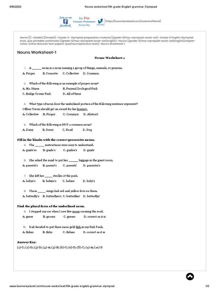 Nouns Worksheet 5th Grade English Grammar Olympiad | PDF | Noun | Grammar