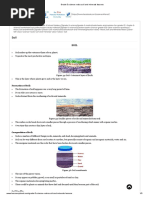 3rd Grade - Landforms Worksheet | PDF | Volcano | Mountains