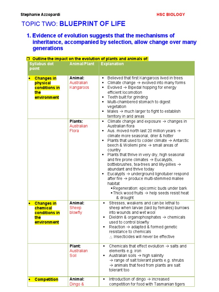 Blueprints of Life | PDF | Dominance (Genetics) | Rna