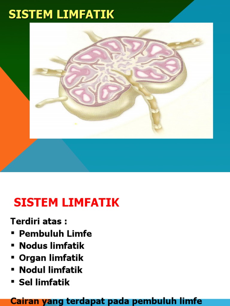 Sistem Limfatik | PDF