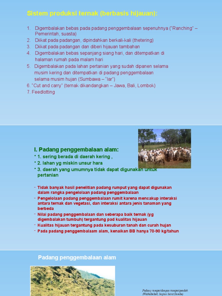 Sistem Produksi Ternak Berbasis Hijauan | PDF