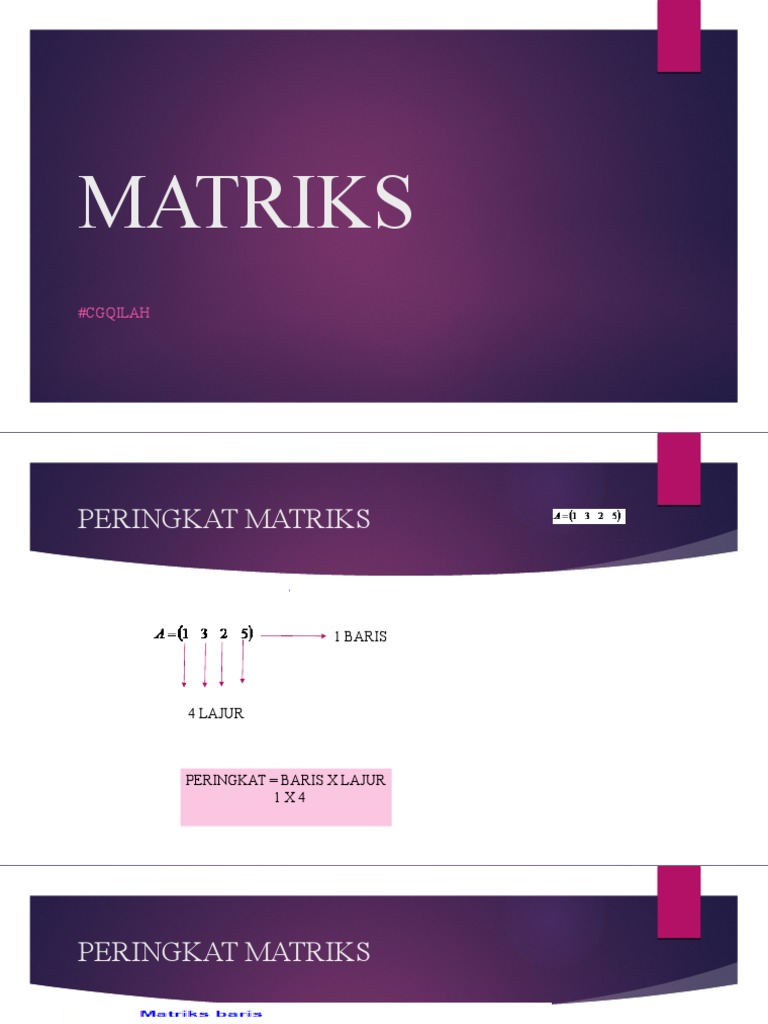 MATRIKS | PDF