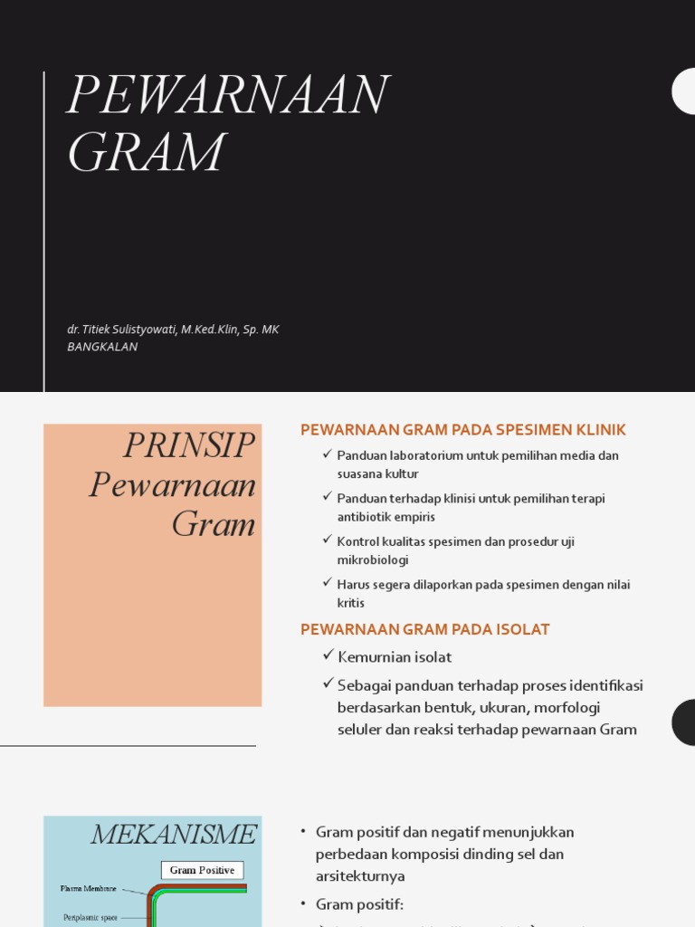 Pewarnaan Gram | PDF