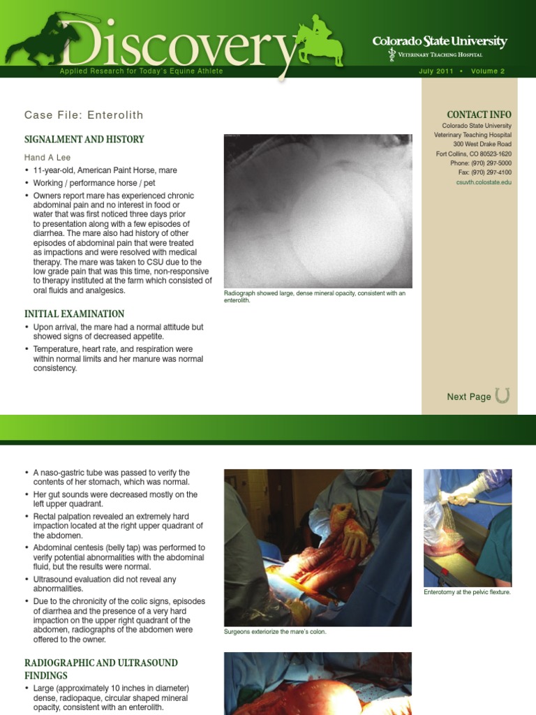 Case File: Enterolith: Contact Info | PDF | Abdomen | Clinical Medicine