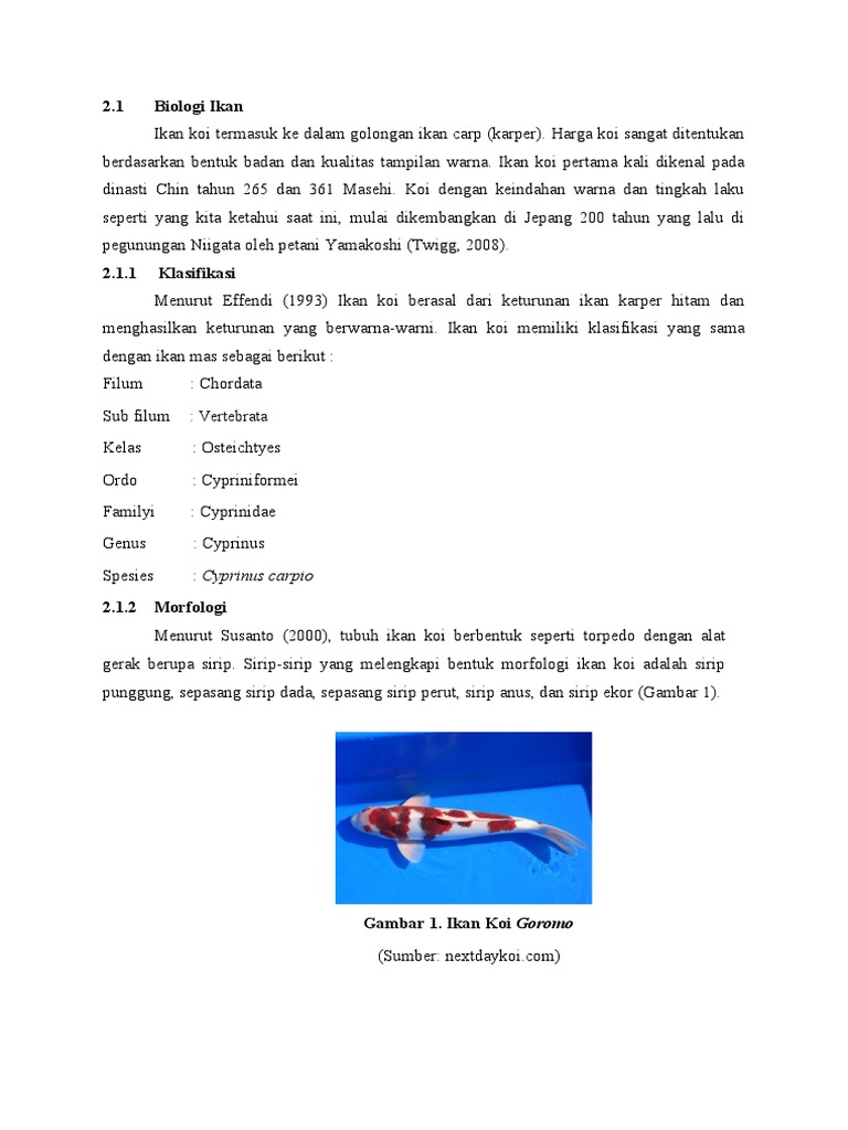 Praktikum Parasit Ikan Koi | PDF