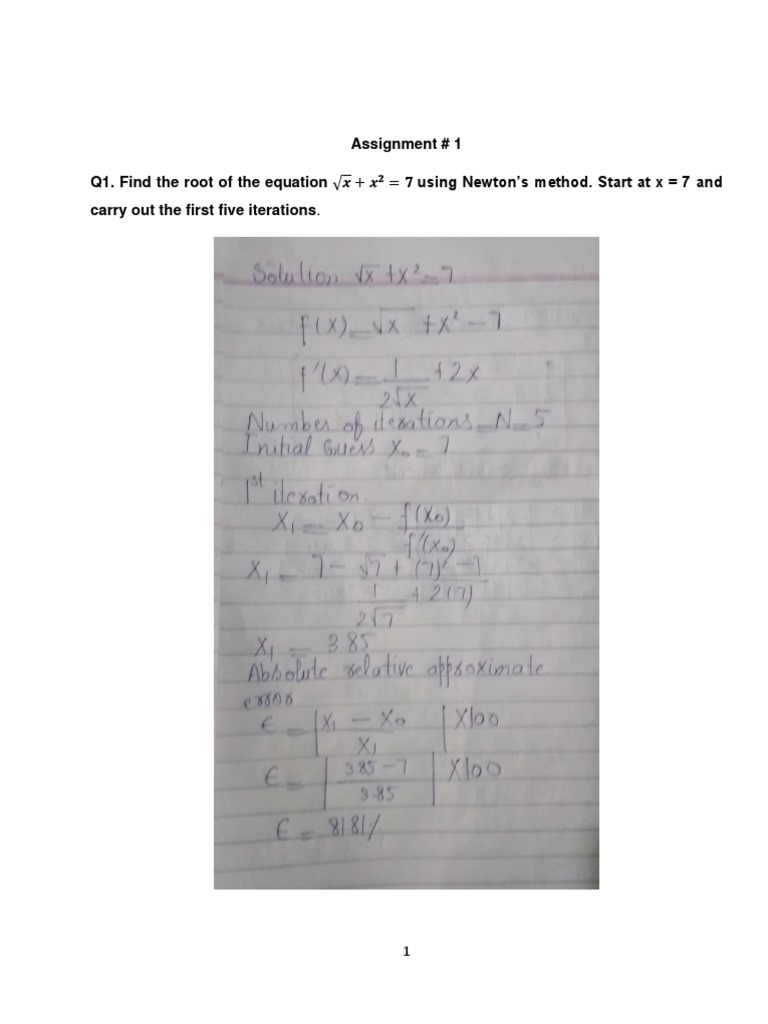 Newton and Bisection Method | PDF