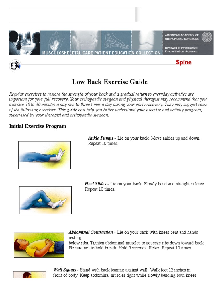 Low Back Exercise Guide | PDF | Knee | Musculoskeletal System