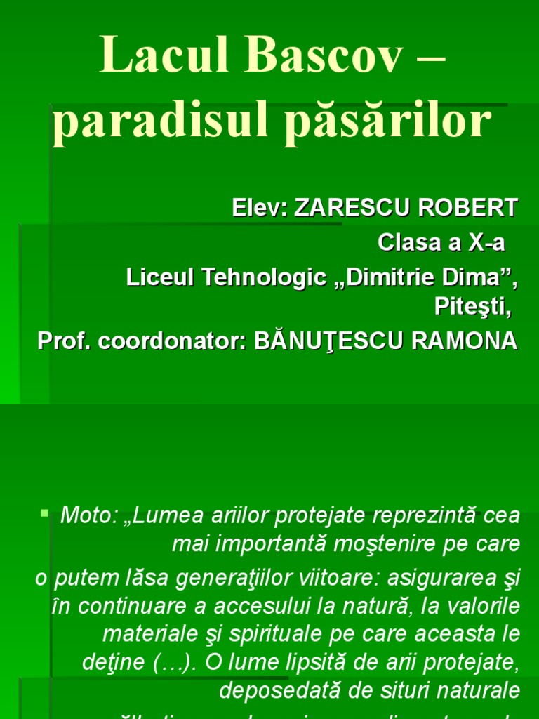 Lacul Bascov - Paradisul Pasarilor | PDF