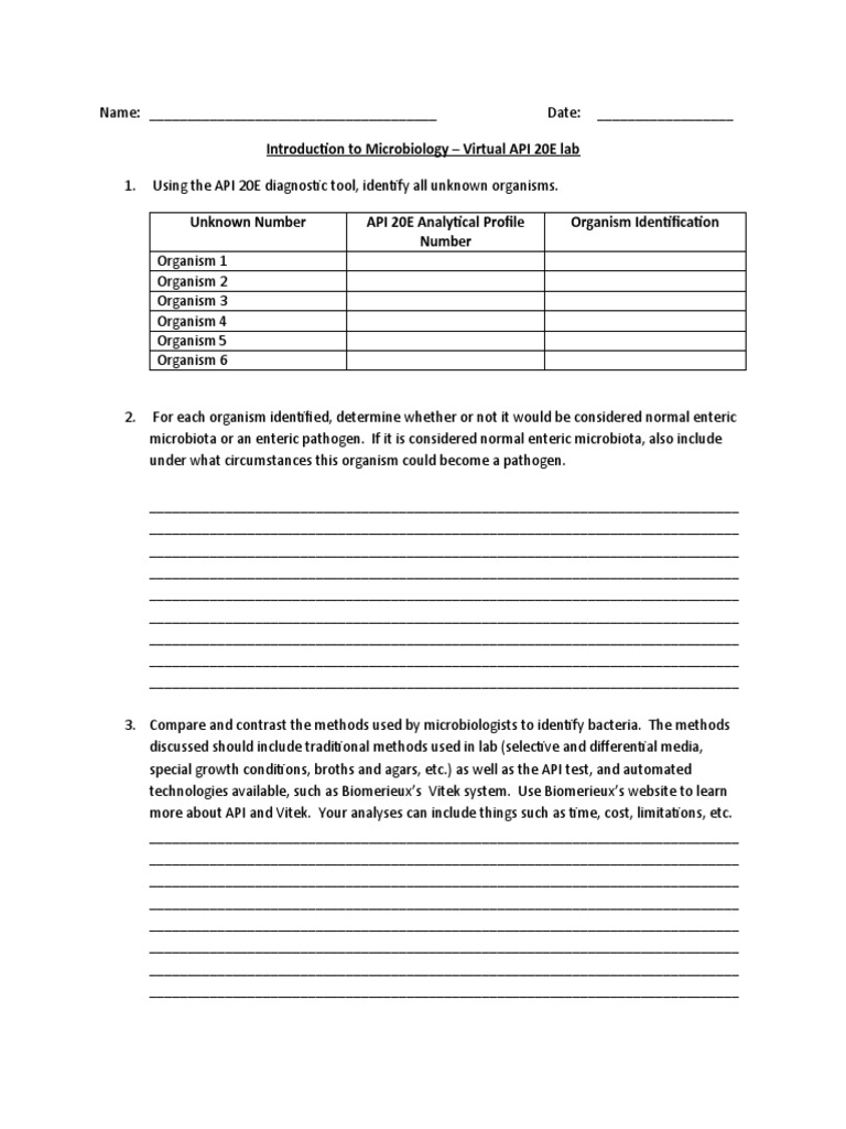 API 20E Lab Data and Analysis Sheet | PDF | Medical Microbiology | Biology