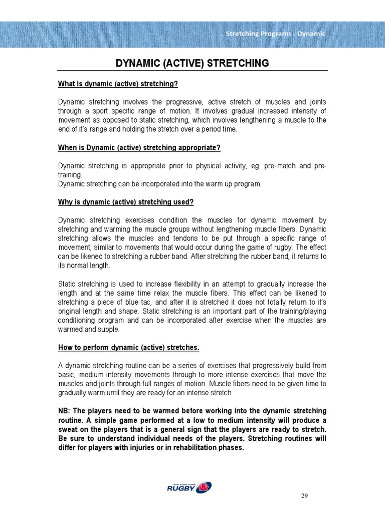 Dynamic Stretching (Notes) | PDF | Musculoskeletal System | Recreation
