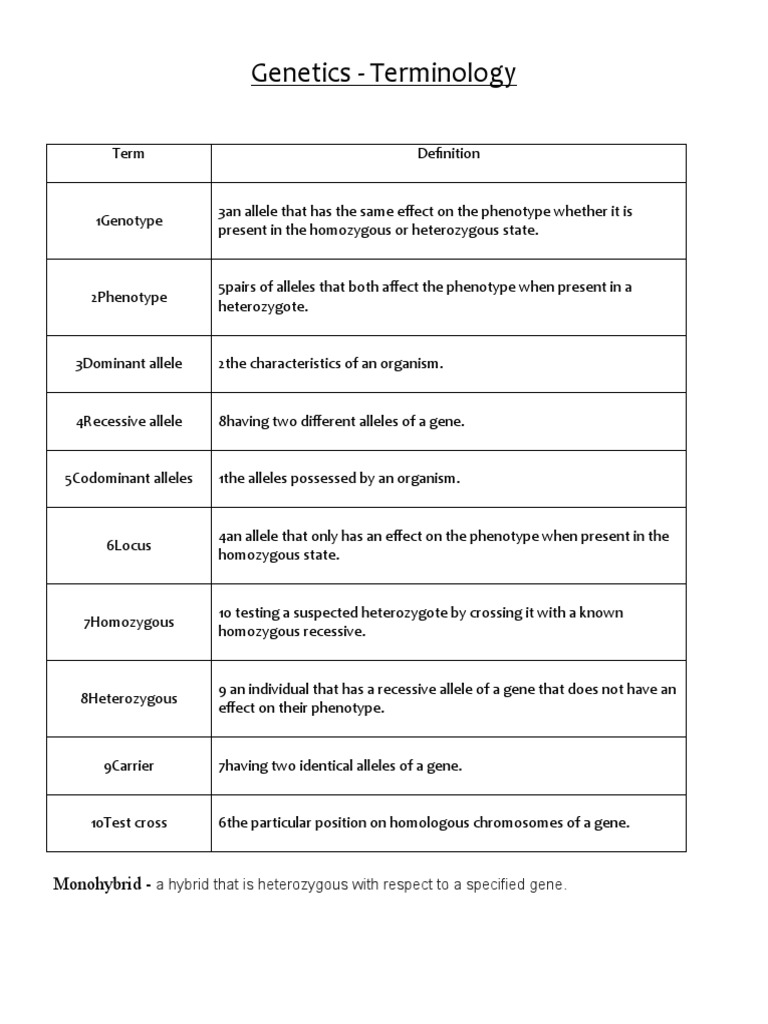 Genetics - Terminology Plenary | PDF | Zygosity | Allele