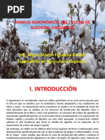 Ficha Técnica Del Pasto Marandú (Brachiaria Brizantha Cv. Marandú ...