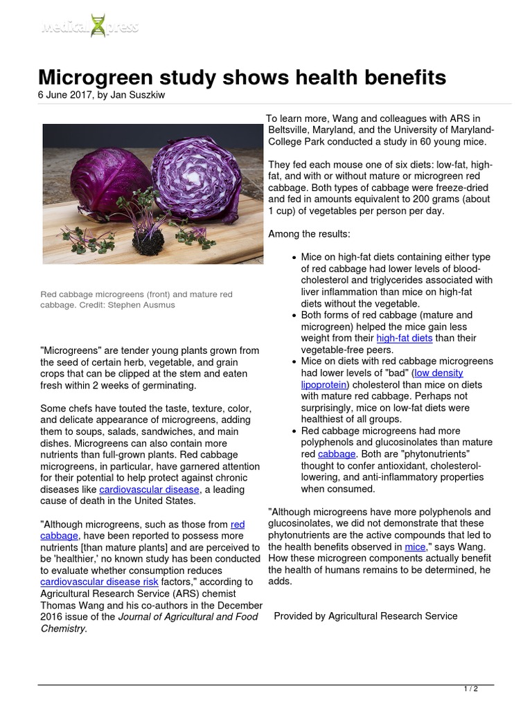 Microgreen Study Shows Health Benefits: High-Fat Diets | PDF | Cabbage ...