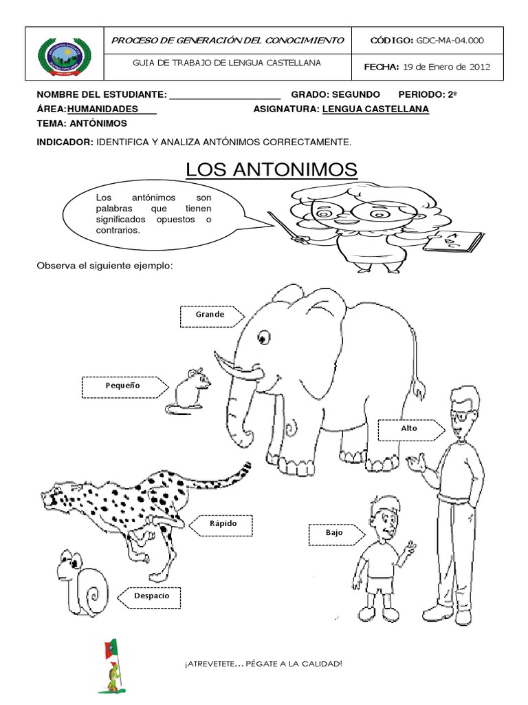 Actividades de Antónimos para 2º Grado | PDF