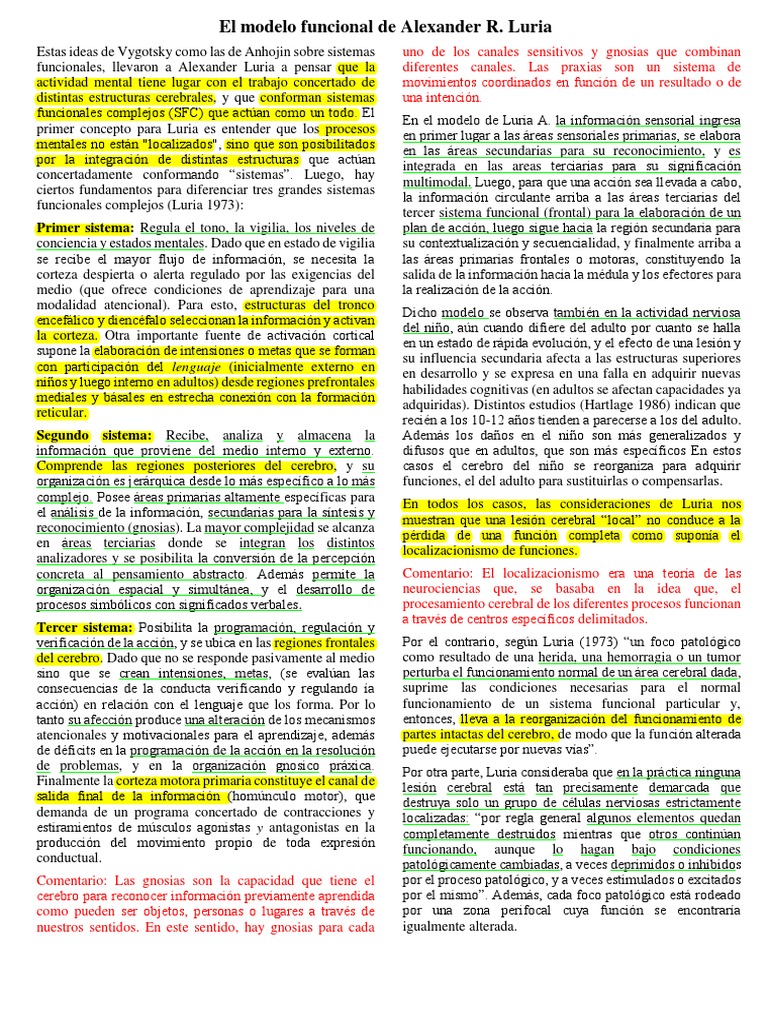 Modelo Funcional de A. R. Luria | PDF | Corteza cerebral | Cerebro