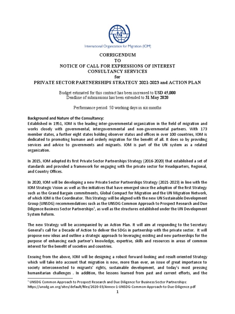 IOM Private Sector Partnerships Strategy 2021-2023 | PDF ...